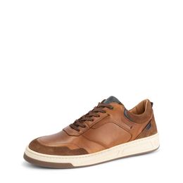 Travelin Sneakers 'Darley' male Brown size 47