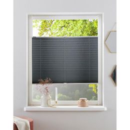 OTTO HOME Plissee &raquo;DAHRA - in Crush-Optik&laquo; Lichtschutz ohne Bohren verspannt Fixma&szlig;, Bestseller mit &uuml;ber 5500 4, 5-Sterne-Bewertungen, Klemmtr&auml;ger...