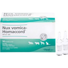 Heel Nux Vomica Homaccord ad us.vet.Ampullen 50 St