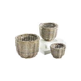 kobolo 3tlg. Set Blumentopf RATPLANTTRIO in Grau | Gr.: onesize