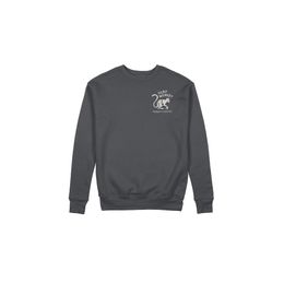 Surf Monkey Sweatshirt male Grey size L