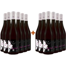Il Quercetto 6+6 Paket La dame Blanche Catarratto Bianco Lucido 2024 Lieblich - Abruzzen &ndash; Probierpaket Vino Generico