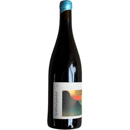 Weingut und Weinstube Marienhof Sp&auml;tburgunder R&eacute;serve Blauer 2023 Trocken - Pfalz &ndash; Rotwein Pf&auml;lzer Landwein