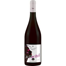 Il Quercetto La Dame Noir Syrah 2024 Trocken - Abruzzen &ndash; Rotwein Vino Generico