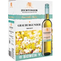 Jechtinger Weinmanufaktur eG Bag in Box 3,0 L Grauburgunder 2024 Trocken - Baden – Weißwein Qualitätswein