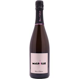 Podere il Saliceto Malbolle extra brut Malbo Gentile 2023 Extra Brut - Emilia Romagna &ndash; Perl- & Schaumwein Vino Generico