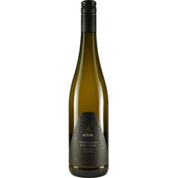 Weingut Karl Stein Niederh&auml;user Felsensteyer Riesling 2025 Lieblich - Nahe &ndash; Wei&szlig;wein Auslese