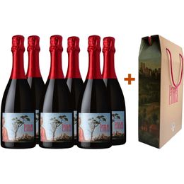 Terre del Cima Conegliano Valdobbiadene Prosecco Superiore Paket+Geschenk Glera - Venetien &ndash; Probierpaket DOCG