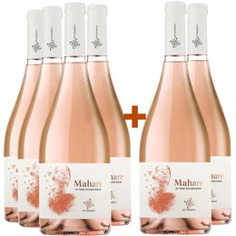Ottoventi 4+2 Paket Mahare Terre Siciliane Nerello Mascalese 2024 Trocken - Sizilien &ndash; Probierpaket IGP