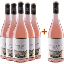 Weingut Thanisch Weingut Witwe Dr. H. Thanisch, Erben M&uuml;ller-Burggraef 5+1 Paket Pinot Noir Ros&eacute; Sp&auml;tburgunder 2024 Trocken - Mosel &ndash; Probierpaket Qualit&auml;tswein