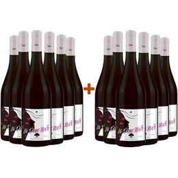 Il Quercetto 6+6 Paket La Dame Noir Syrah 2024 Trocken - Abruzzen &ndash; Probierpaket Vino Generico