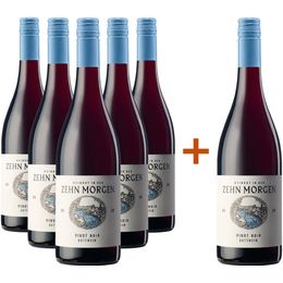 Weingut In den Zehn Morgen 5+1 Paket Pinot Noir Sp&auml;tburgunder 2022 Trocken - Nahe &ndash; Probierpaket Qualit&auml;tswein