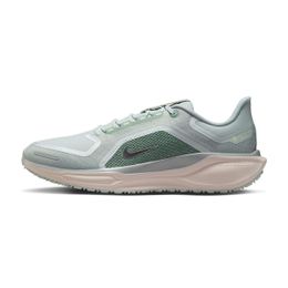 Nike Pegasus 41 GTX Herren