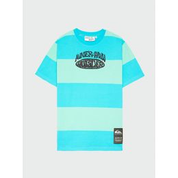 Quiksilver T-Shirt &raquo;AVNIER Source Cabbage Secam&laquo; Cabbage XS XS Material: 100 % Baumwolle