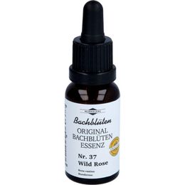 MCM KLOSTERFRAU Vertr. GmbH Bachbl&uuml;ten Murnauer Wild Rose Tropfen 20 ml