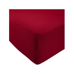 REDBEST Single-Jersey Spannbettlaken Pittsburgh in bordeaux | Gr.: 90x190 cm - 100x200 cm