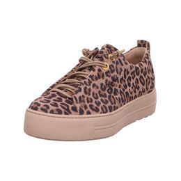 Paul Green Sneaker in beige | Gr.: 40,5