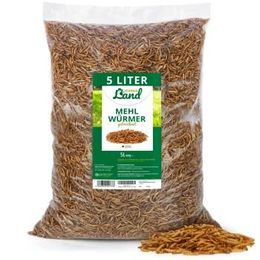 H&Uuml;HNER Land Edel Mehlw&uuml;rmer 800g