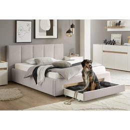 Polsterbett Inosign "CiTY/GiRON, Bettgestell mit Bettkasten, gepolstertes Stauraumbett", beige (hellbeige), B:170cm H:96cm L:220cm, Betten, Polsterbett, mit Hundebett oder Stauraumschublade, Bezug Cord-oder Leinenoptik