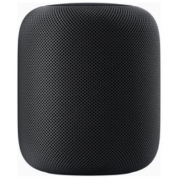 Apple Lautsprecher Bluetooth HomePod - Space Grau