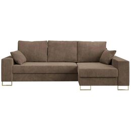 H&ouml;ffner Ecksofa mit Schlaffunktion Dorain braun Ma&szlig;e (cm): B: 242 H: 85 &raquo; H&ouml;ffner