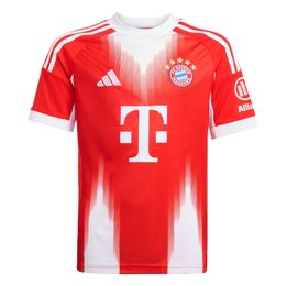 Adidas Performance Trikot 'FC Bayern M&uuml;nchen Home 25-26' Jungen Gr&ouml;&szlig;e 164 rot / wei&szlig;