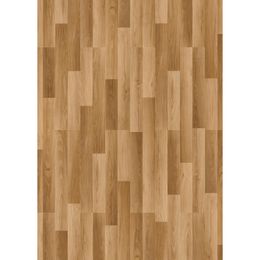 Classen Laminat '832-0' 2-Stab Eiche natur 8 mm