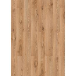 Classen Laminat '832-0' Eiche natur-beige 8 mm
