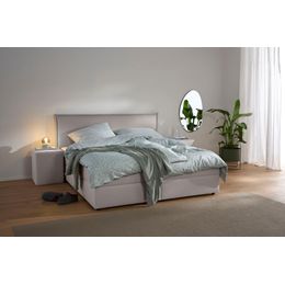 Boxbett s.Oliver "Alissia", grau, B:218cm L:206cm, Komplettbetten, Boxbett mit Bettkasten, inkl. Topper