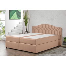 Boxspringbett Maintal, braun, Seitliche Einfassung Unterbox und Obermatratze: Mikrovelours (100% Polyester);Spiegelfl&auml;che der Unterbox und