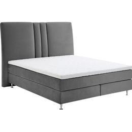 Boxspringbett, B:158cm L:223cm, grau, ATLANTIC HOME COLLECTION, Bezug Bett: Samtvelours (100% Polyester);Bezug Matratze: 100% Polyester;Bezug Topper: