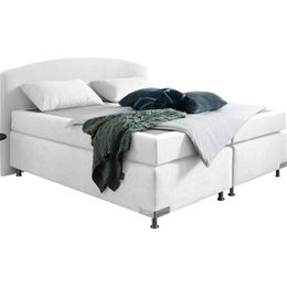Boxspringbett, B:215cm L:210cm, wei&szlig;, Westfalia Schlafkomfort, Komplettbetten, "Amsterdam in den Breiten 160x200, 180x200cm & 200x200cm"