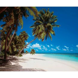 Komar Vliestapete "Digitaldruck Vlies - Maldives - Gr&ouml;&szlig;e 300 x 250 cm", B/L: 300mm x 250mm, Rollen:, bunt, Tapeten, Wohnzimmer, Schlafzimmer