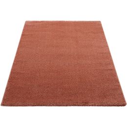 Teppich, B:80cm H:20mm L:250cm, rot, OCI DIE TEPPICHMARKE, Polypropylen (PP), Wohnzimmer, Teppiche, "NEW VILLA MELANGE, auch als L&auml;ufer", dicht