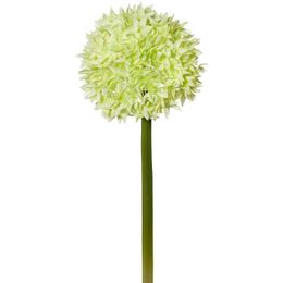 Kunstblume Creativ green, H:65cm, gr&uuml;n, Kunststoff, Kunstpflanzen, 2er Set