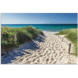 Wandbild Artland, B:120cm H:80cm, blau, Wohnzimmer, Bilder, "Weg zum Strand an der Ostsee", als Alubild, Outdoorbild, Leinwandbild, Poster,