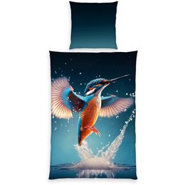 Herding's Young Collection Bettw&auml;sche, bunt, HERDING YOUNG COLLECTION, Renforc&eacute;, Obermaterial: 100% Baumwolle, Jugendzimmer, Bettw&auml;sche, "YC Eisvogel", mit tollem Motiv