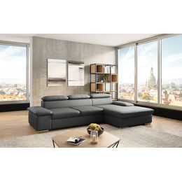 Sit & More Ecksofa SIT & MORE, B:286cm H:73cm T:174cm, grau, NaturLEDER, Wohnzimmer, Sofas, "Valantine L-Form, B: 286 cm", mit Arm- & Kopfteilverstellung,