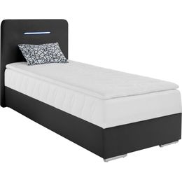 Boxbett COTTA, B:96cm L:207cm, schwarz, Polyester, Komplettbetten, "Lighstar", inklusive LED-Beleuchtung, Topper, Bettkasten und Zierkissen