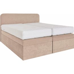 Boxspringbett, B:145cm L:212cm, beige, Westfalia Schlafkomfort, Box und Kopfteil: Microvelours (100% Polyester) oder Kunstleder (Polyurethan);Bezug