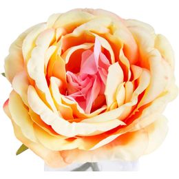 Kunstblume BOTANIC-HAUS, B:9cm H:11cm T:9cm &Oslash;:9cm, orange, Kunststoff, Kunstpflanzen, "Rose im Glas"