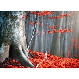 papermoon Fototapete "Old Autumn Tree", B/L: 4m x 2,6m, Bahnen: 8 Stk., bunt, Tapeten