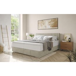 Boxbett Inosign, B:186cm L:208cm, beige, Baumwolle, Polyester, Komplettbetten, "Thor mit Bettkasten, inkl. Matratze, Topseller", Topper und