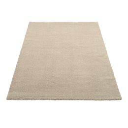 Teppich, B:240cm H:20mm L:340cm, beige, OCI DIE TEPPICHMARKE, Polypropylen (PP), Wohnzimmer, Teppiche, "NEW VILLA MELANGE, auch als L&auml;ufer", dicht