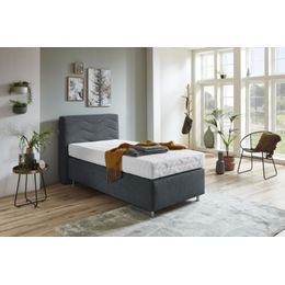 Boxspringbett, B:105cm L:210cm, grau, Westfalia Schlafkomfort, Bezug Bett: Microvelours (100% Polyester) oder Feinstruktur (100% Polyester);Bezug