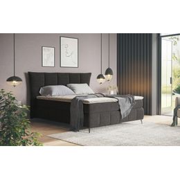 Boxspringbett COTTA, B:211cm L:215cm, schwarz, 100% Polyester, Komplettbetten, "Sarah", inkl. Topper, 2 Matratzenkerne, H&auml;rtegrade H2, H3 oder H4