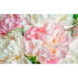 papermoon Fototapete "Blooming Peonies", B/L: 3,5m x 2,6m, Bahnen: 7 Stk., bunt, Tapeten