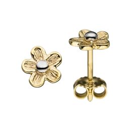 Jobo Damen Paar Ohrstecker "Blume", 6,3mm, Gelbgold 333, gold, Gelbgold 333, Ohrringe, 333 Gold matt bicolor
