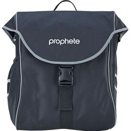Prophete Fahrradtasche "Seitenpacktasche", B/H/T: 34,5cm x 34,5cm x 15cm, schwarz, Taschen