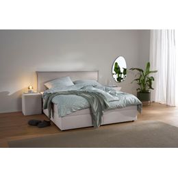 Boxbett s.Oliver "Alissia", grau, B:198cm L:206cm, Komplettbetten, Boxbett mit Bettkasten, inkl. Topper